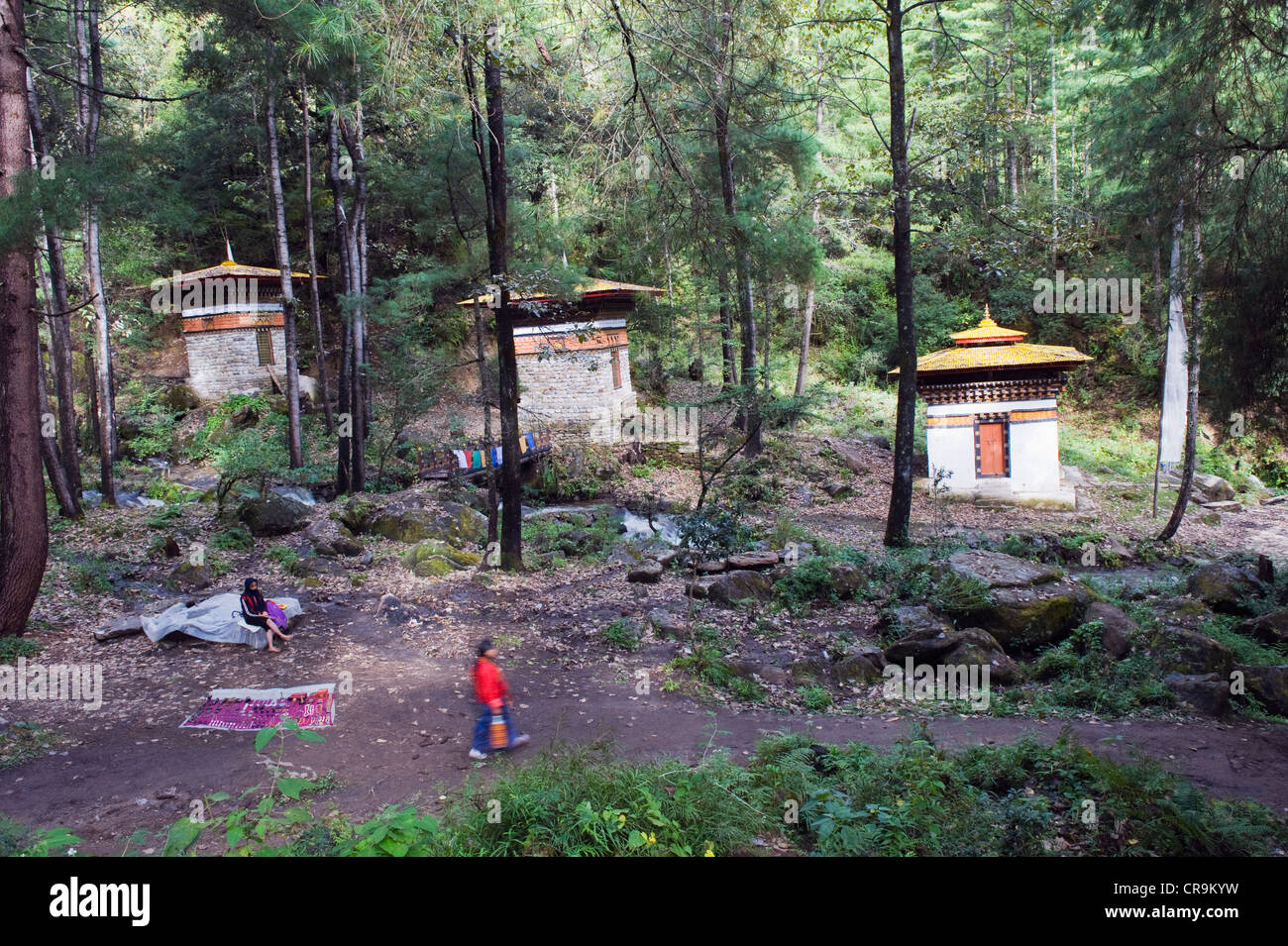 chortens at Taktshang Goemba, Paro Valley, Bhutan, Asia Stock Photo - Alamy