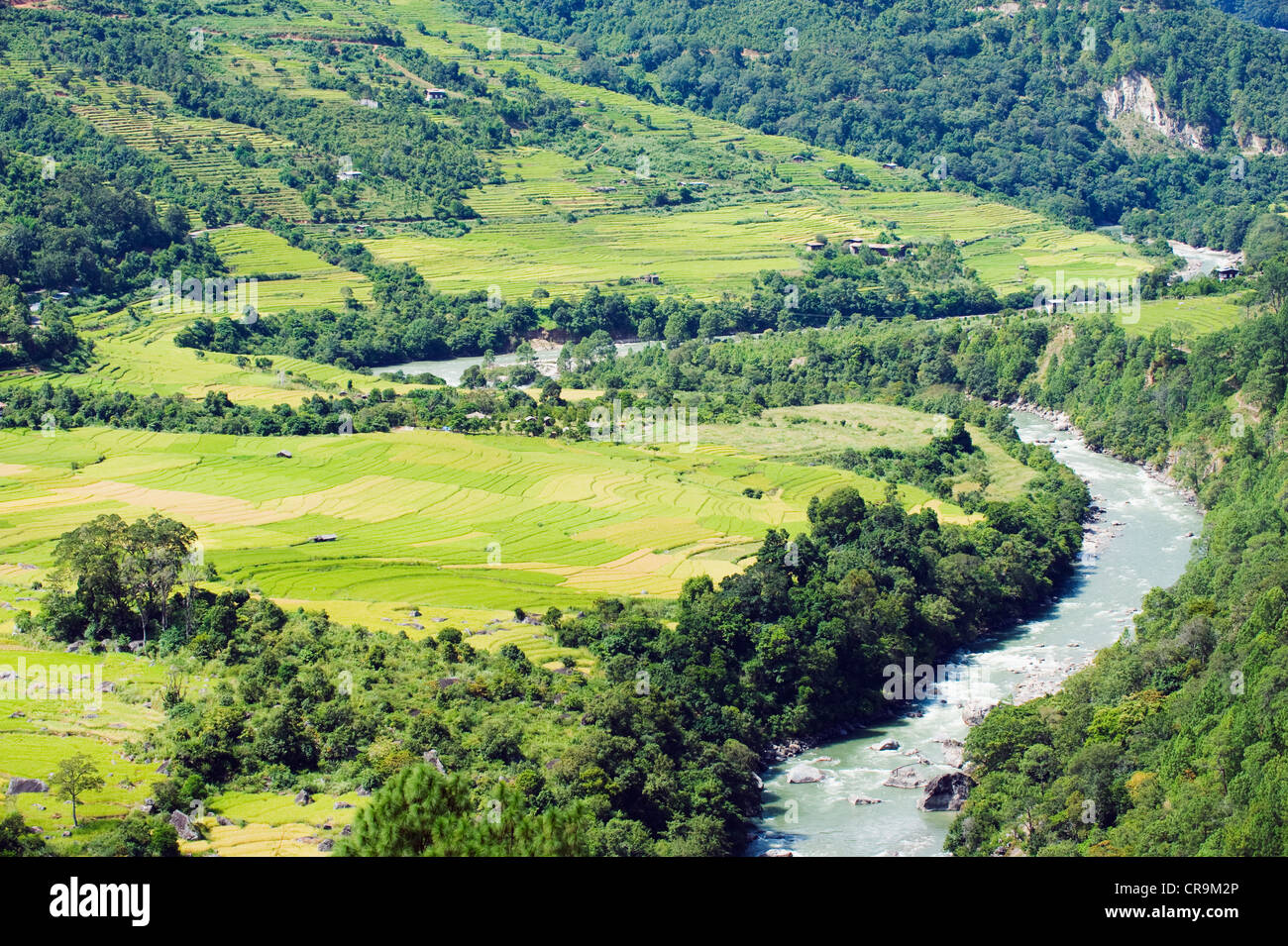 Tsang Chhu river, Punakha, Bhutan, Asia Stock Photo - Alamy