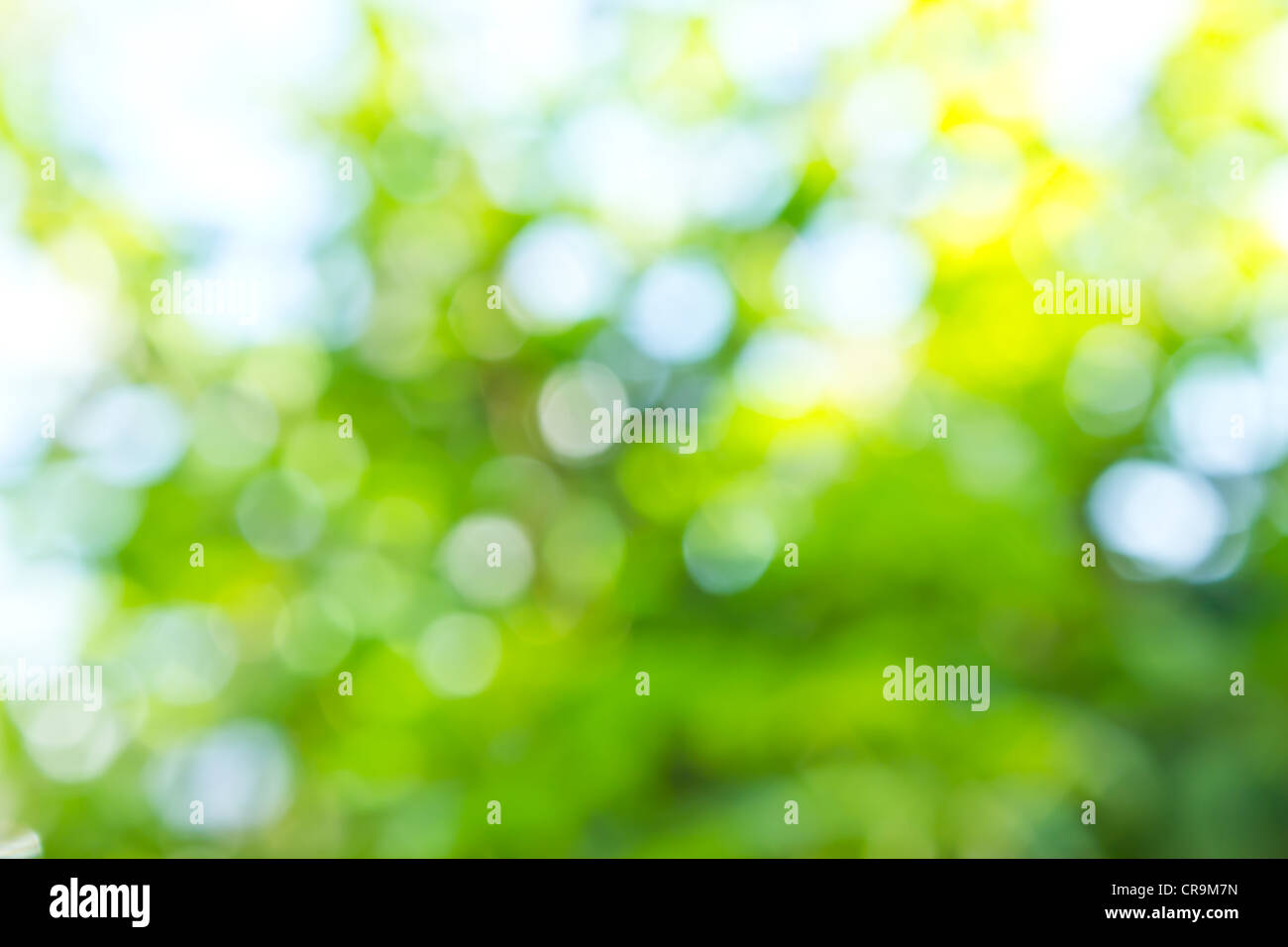Garden background hi-res stock photography and images - Alamy