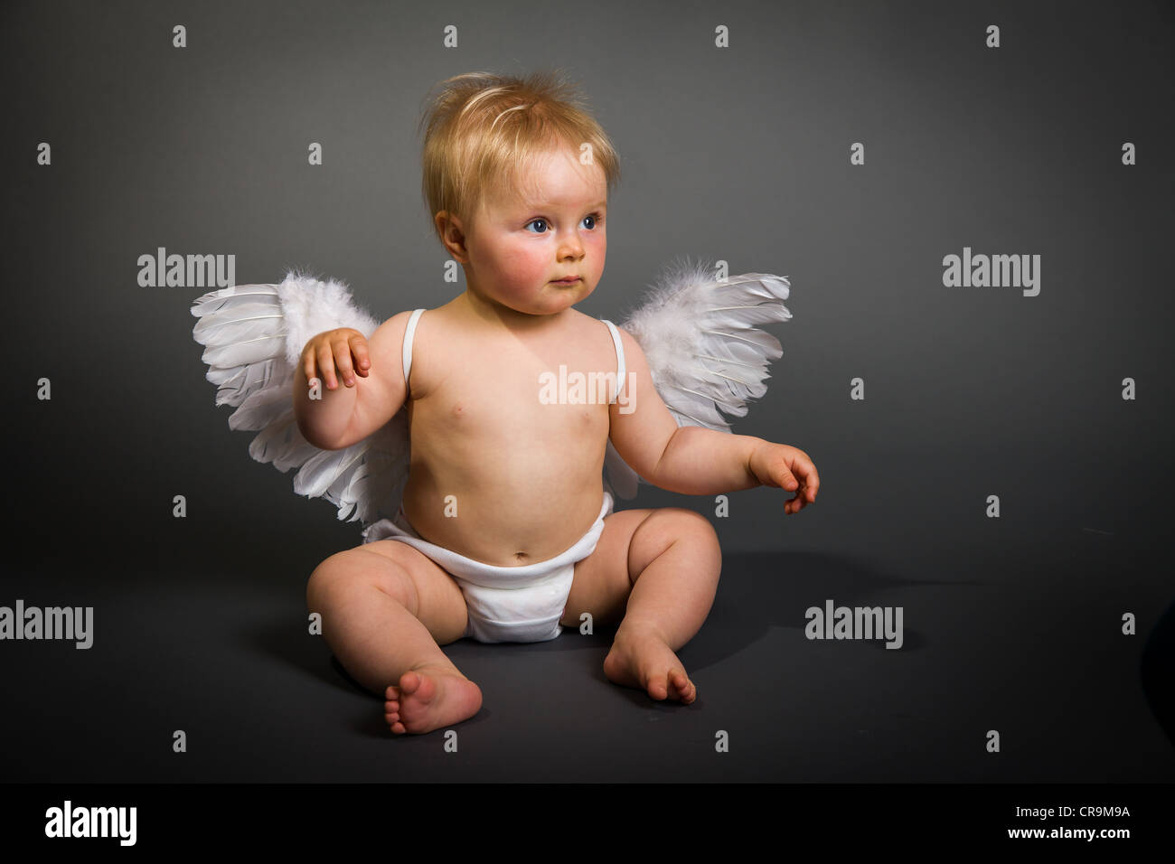 Infant angel on gray background Stock Photo - Alamy