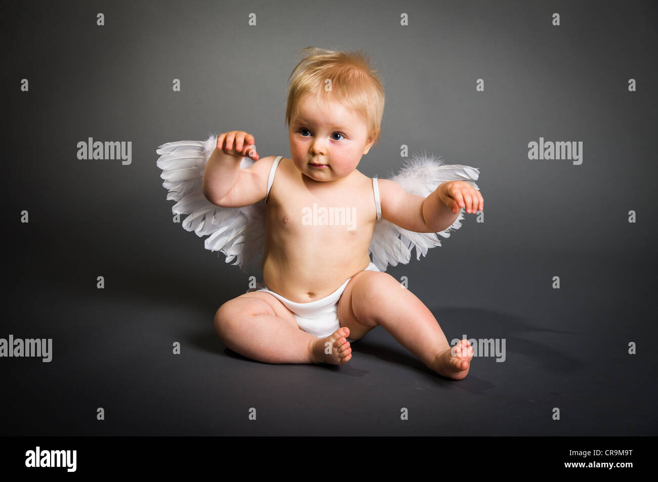 Infant angel on gray background Stock Photo - Alamy