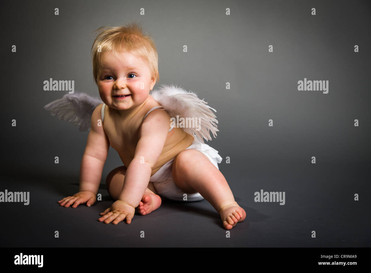 Infant angel on gray background Stock Photo - Alamy