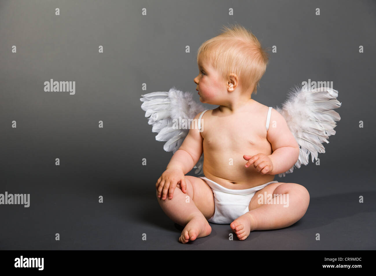 Infant angel on gray background Stock Photo - Alamy