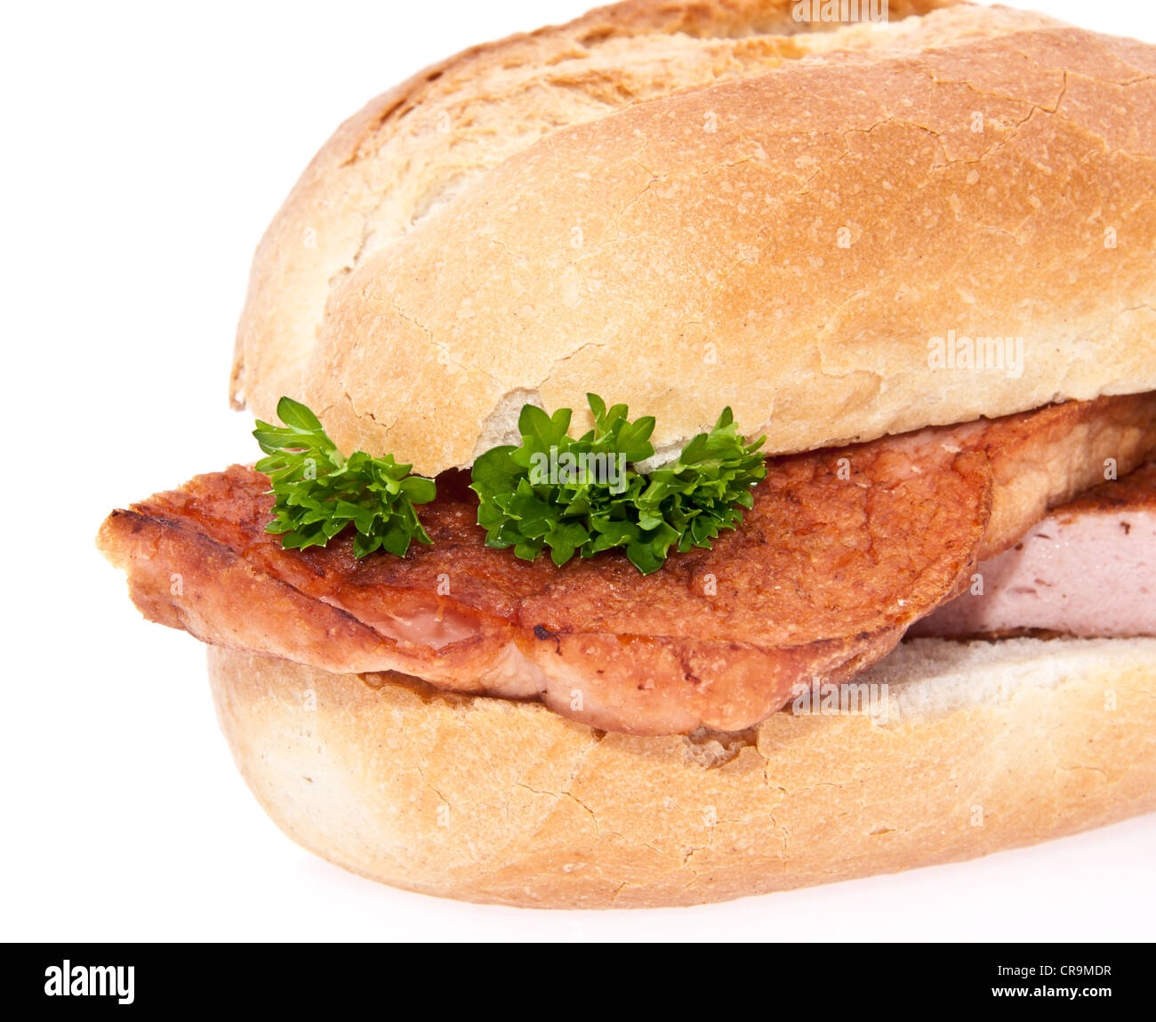Meat loaf roll with parsley and ketchup isolated on white background ...