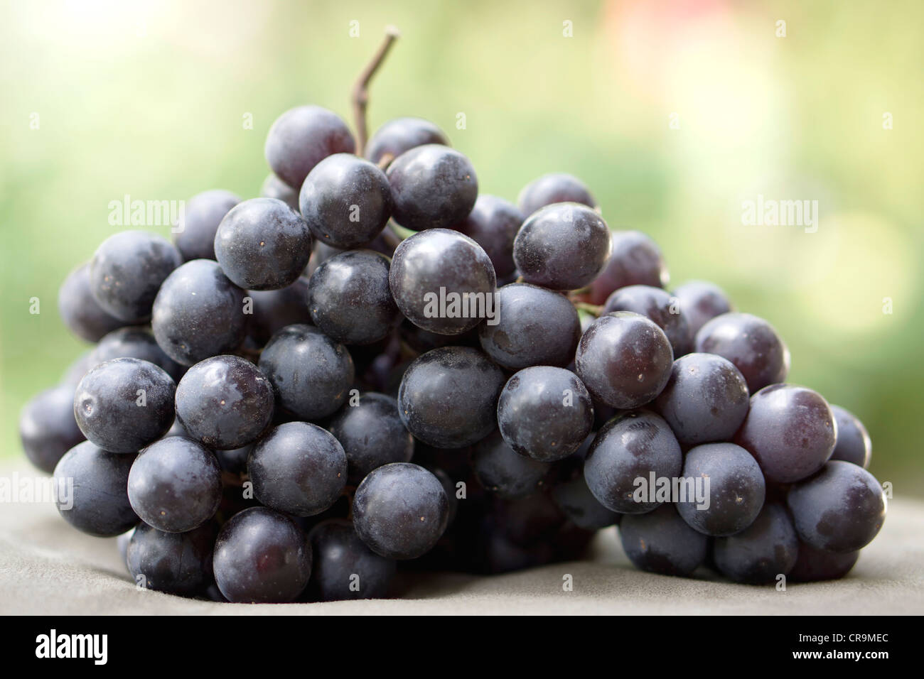 Black grape hi-res stock photography and images - Alamy