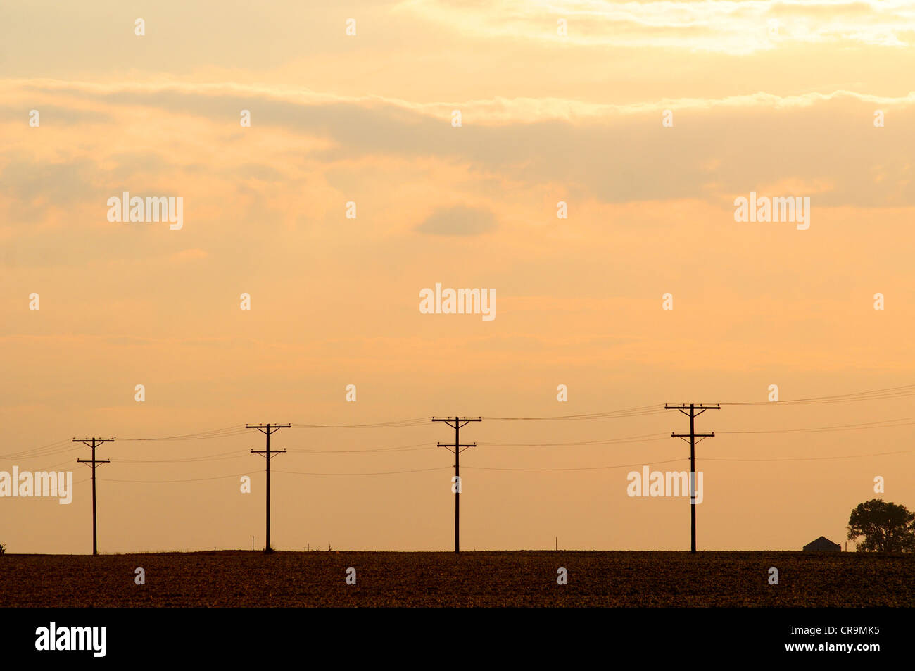 Power lines or telephone lines strung along a rural road next to farm ...
