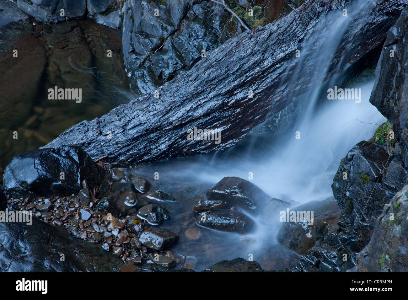 Myrtle waterfall hi-res stock photography and images - Alamy