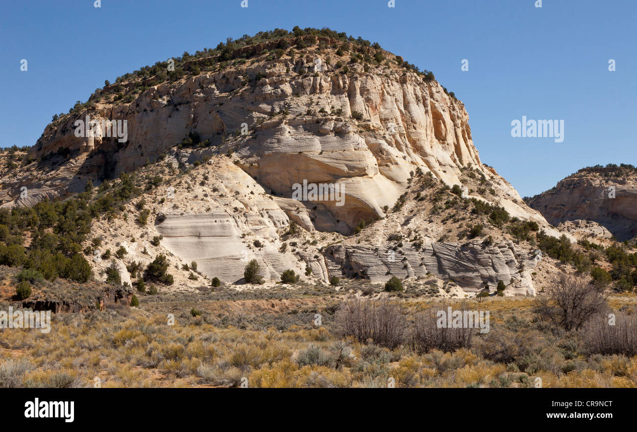 White Cliffs in Johnson Canyon in southern Utah USA Stock Photo - Alamy