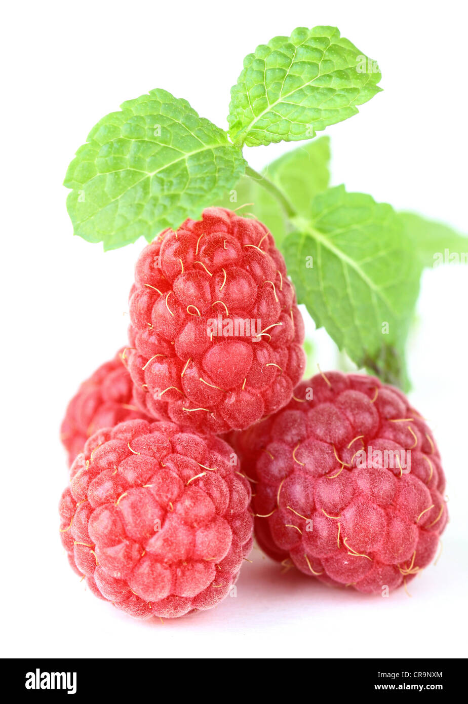 Ripe raspberries mint leaves Cut Out Stock Images & Pictures - Alamy
