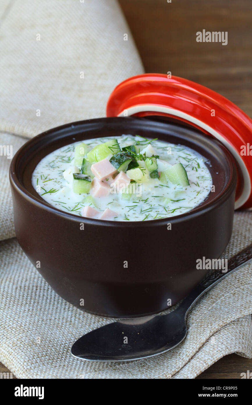 vegetable cold soup, Russian traditional cuisine Stock Photo - Alamy