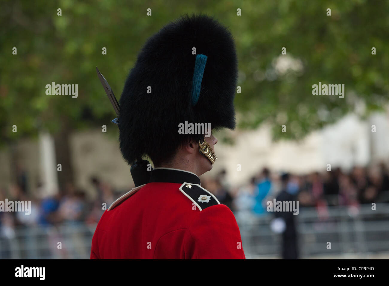 Guardsman on Duty Stock Photo - Alamy