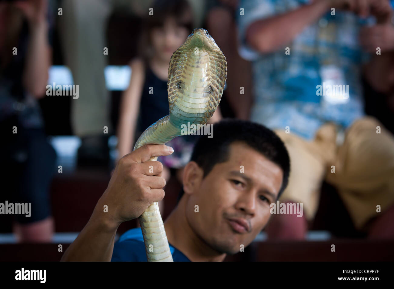 Snake charmer in Phuket snake farm, Thailand Stock Photo - Alamy
