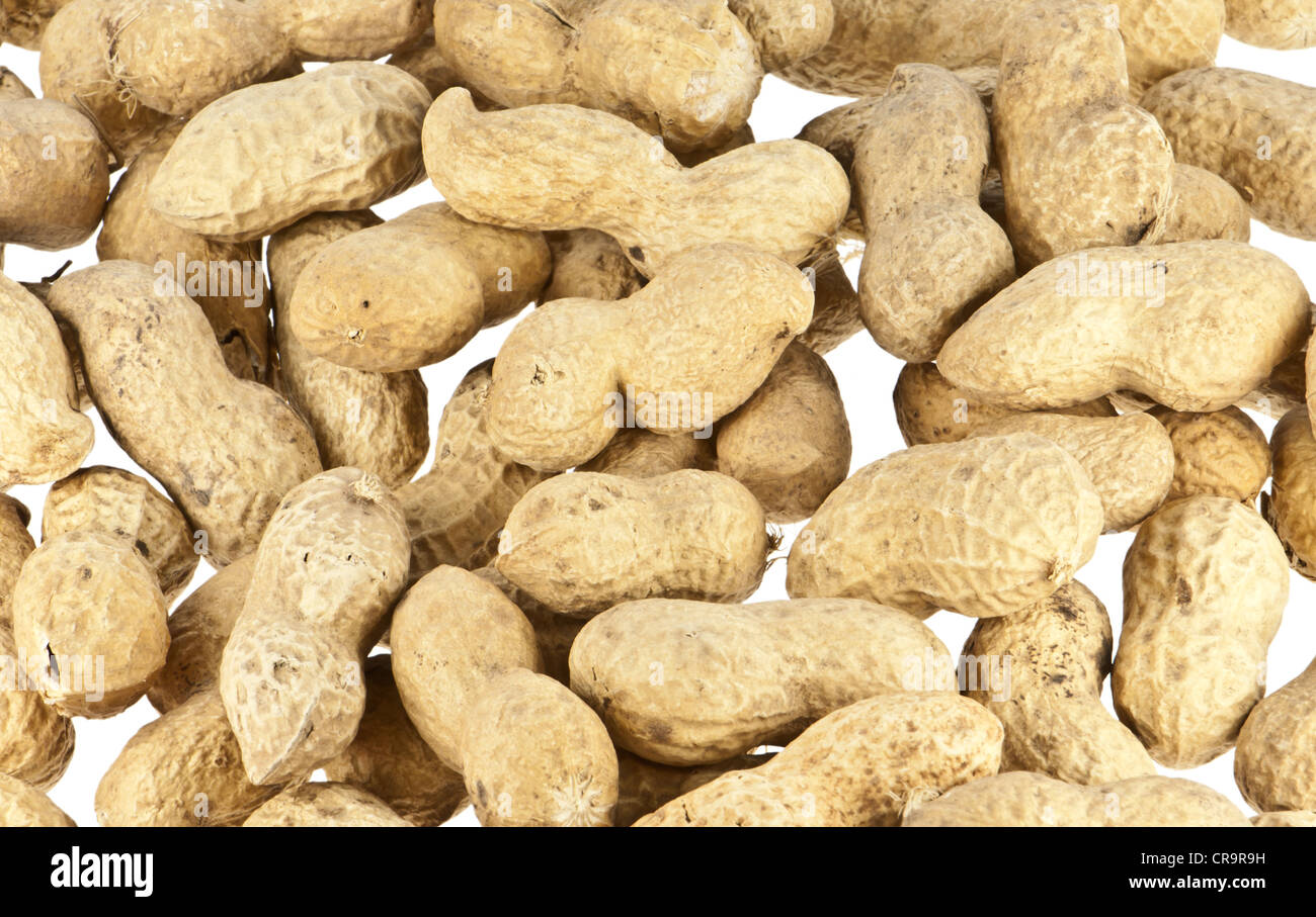 Group of peanuts isolated on white background Stock Photo - Alamy