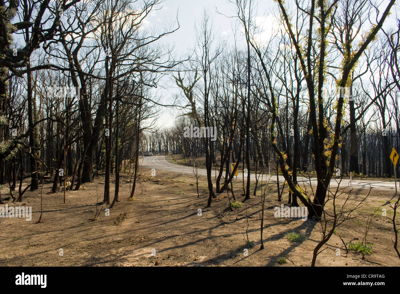 Results of a major bushfire Stock Photo - Alamy