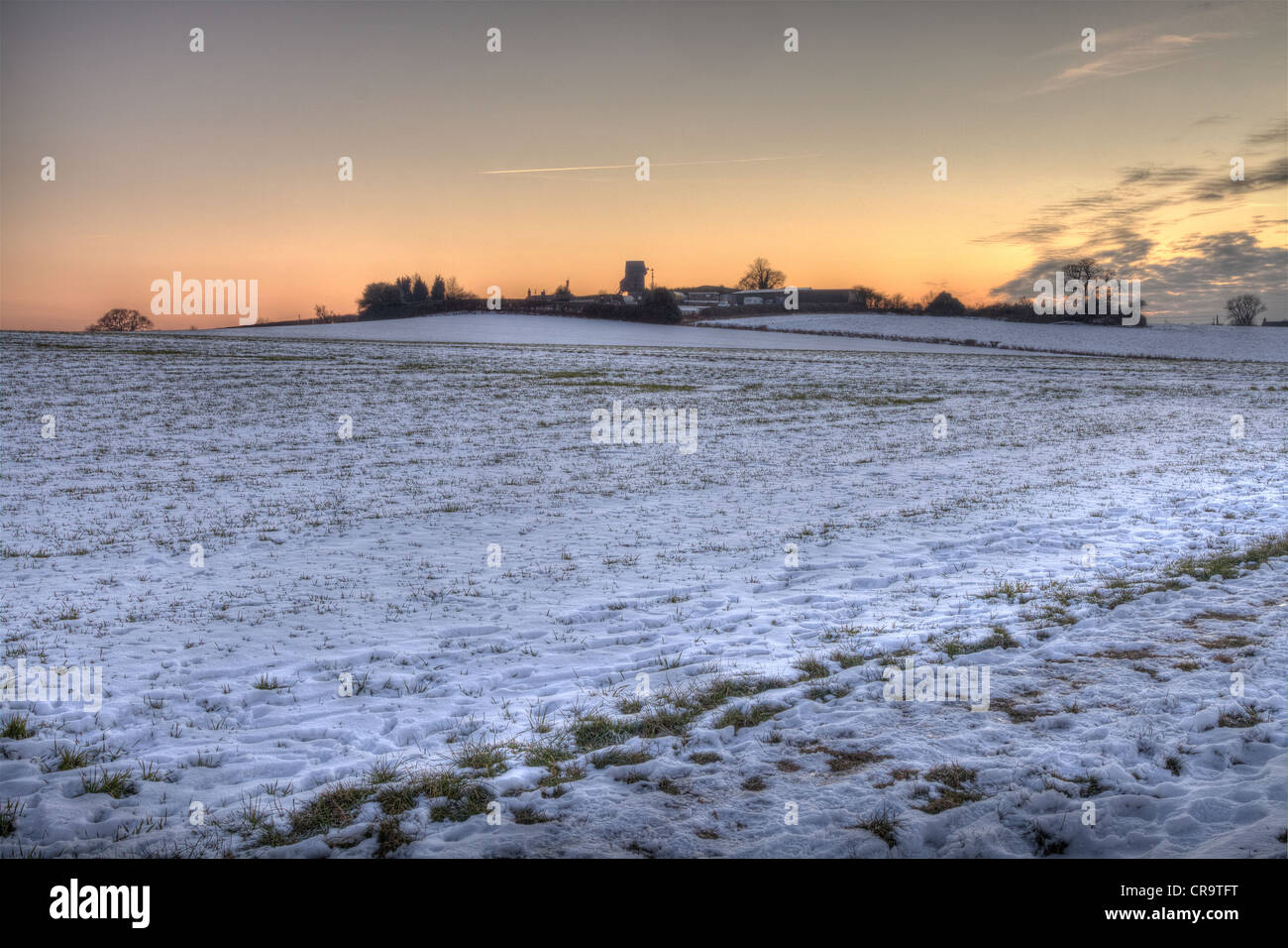Cat and fiddle in winter hi-res stock photography and images - Alamy