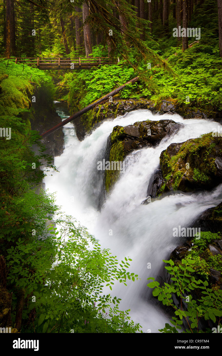 Sol Duc Falls in Olympic National Park, Washington Stock Photo - Alamy