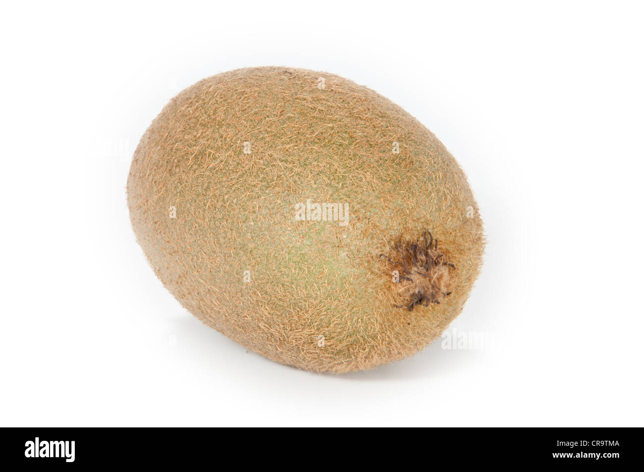 One Kiwi isolated on white background Stock Photo - Alamy