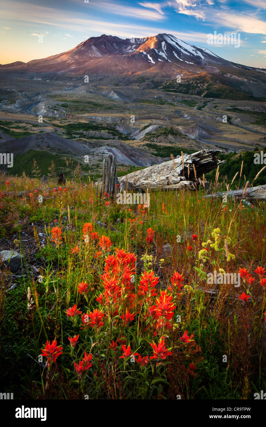 Mount St. Helens National Volcanic Monument Stock Photo - Alamy