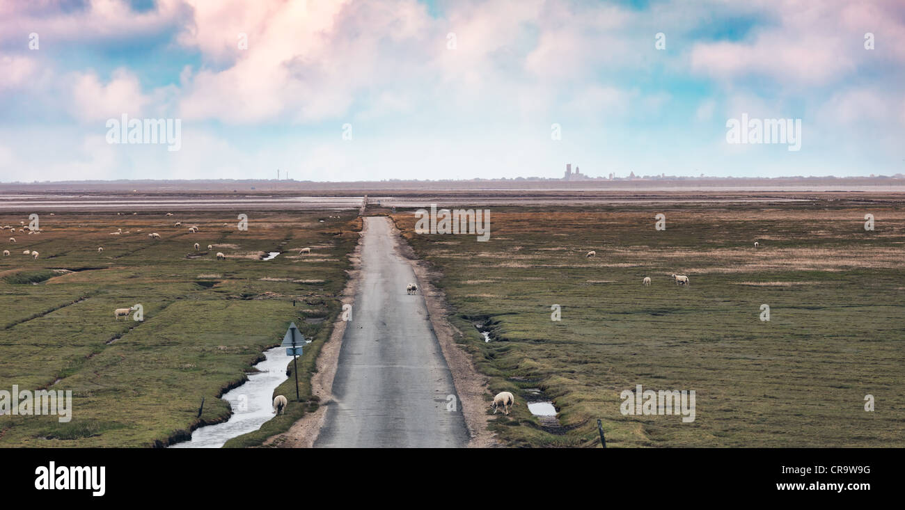 Wadden sea road to the island Mando, Denmark Stock Photo - Alamy