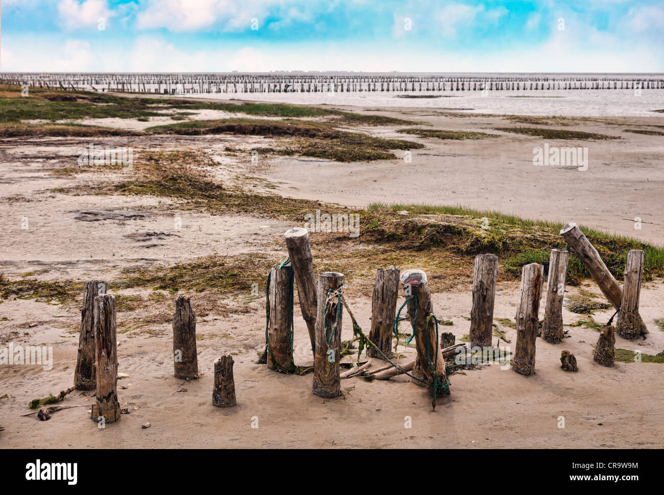 Wadden sea from the island Mando, Denmark Stock Photo - Alamy