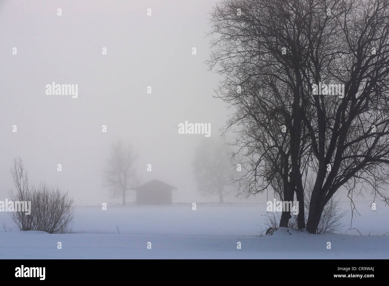 Dense mist snow hi-res stock photography and images - Alamy