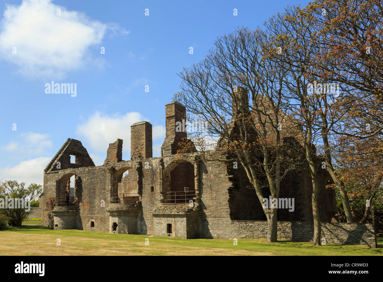 Remains of the 16th century Earl's Palace ruins of Renaissance building ...