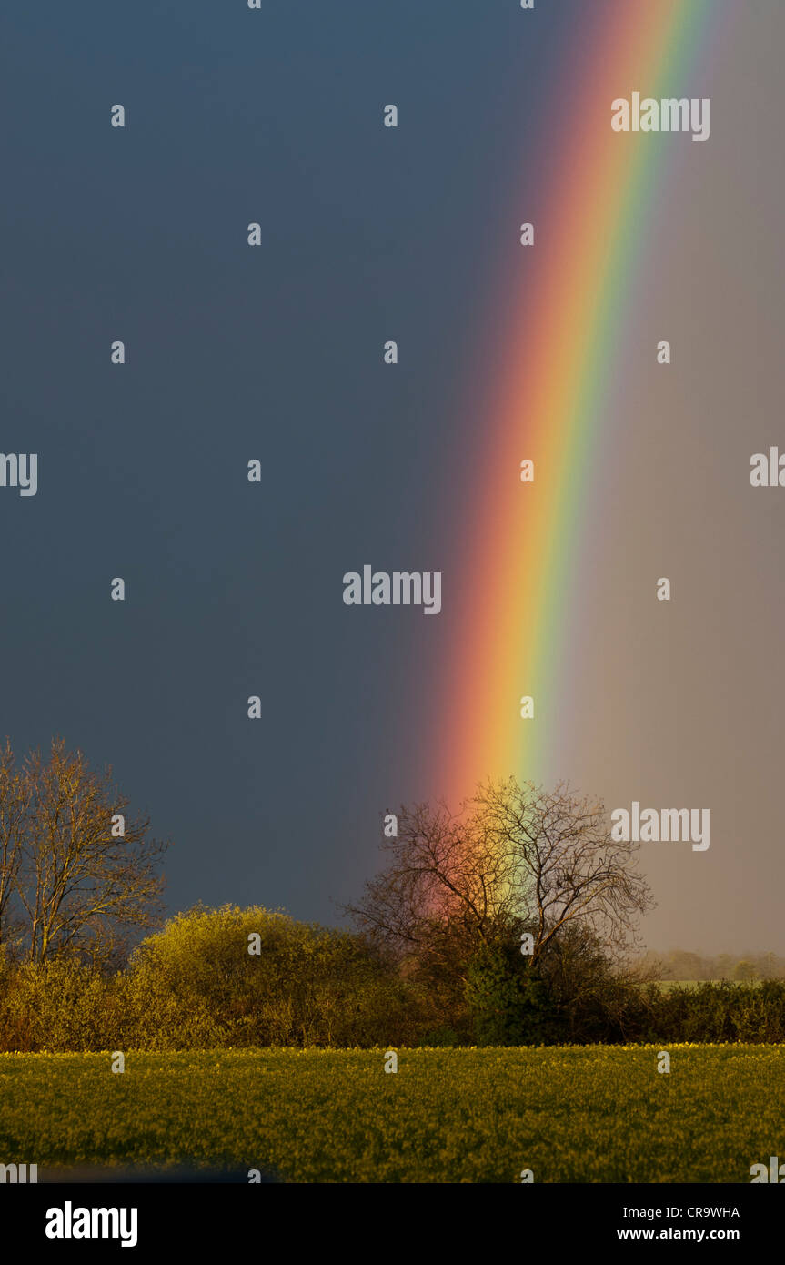 Rainbow after storm Stock Photo - Alamy