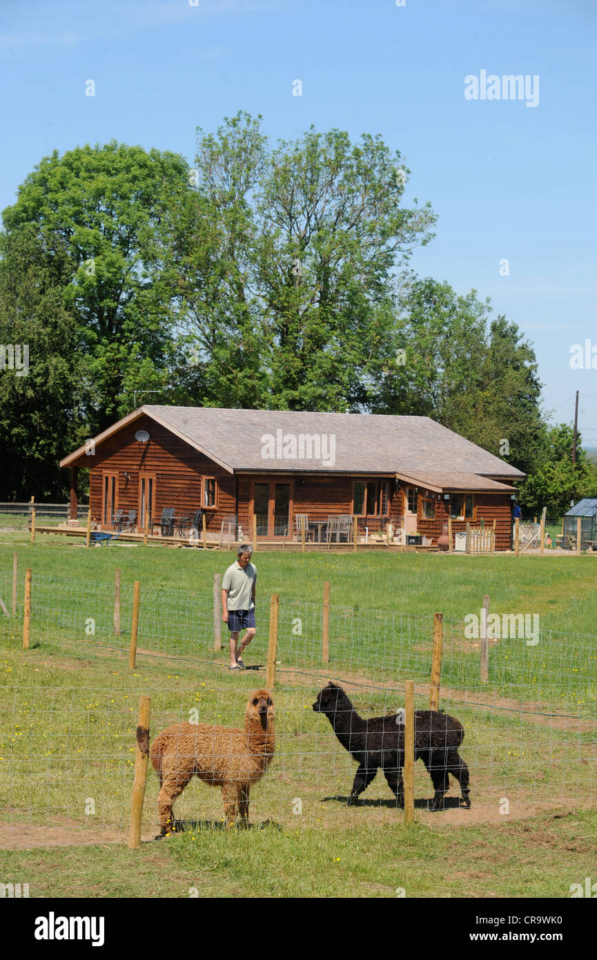 A log cabin or wooden chalet home on an Alpaca farm - a style of ...