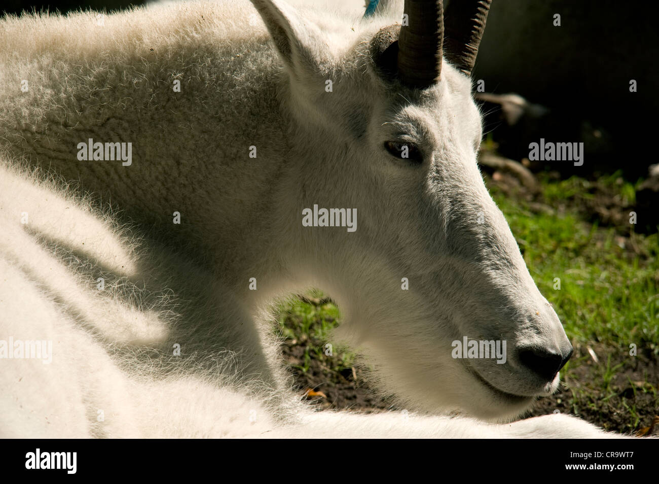 Imaginative exploration hi-res stock photography and images - Alamy