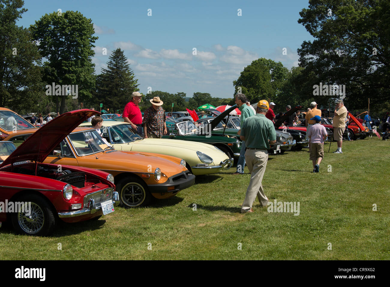 autos at a car show Stock Photo - Alamy