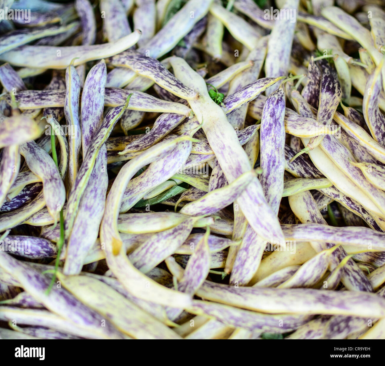 Vegetable beans background Stock Photo - Alamy