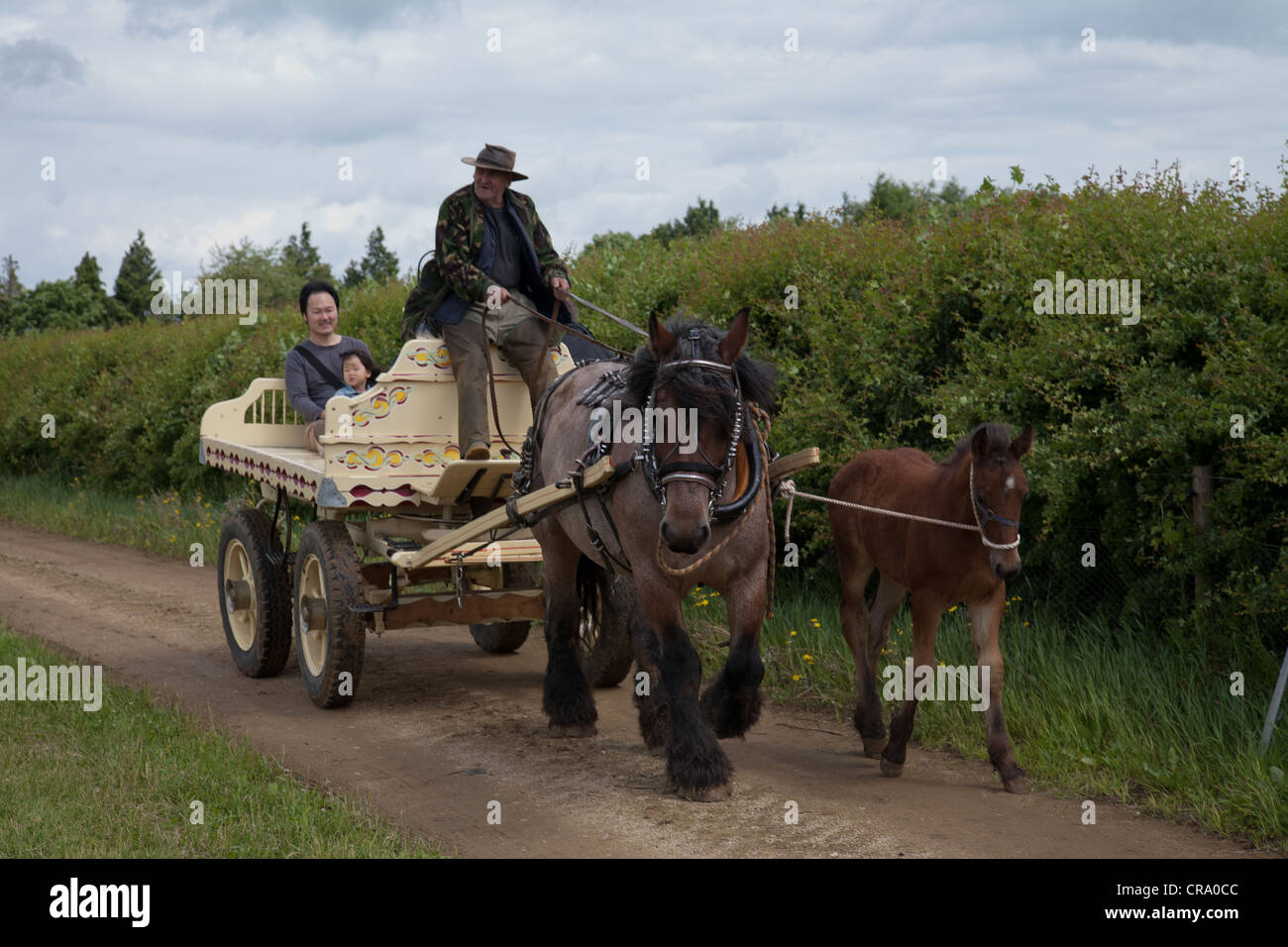 Horse Cart Farm High Resolution Stock Photography and Images - Alamy