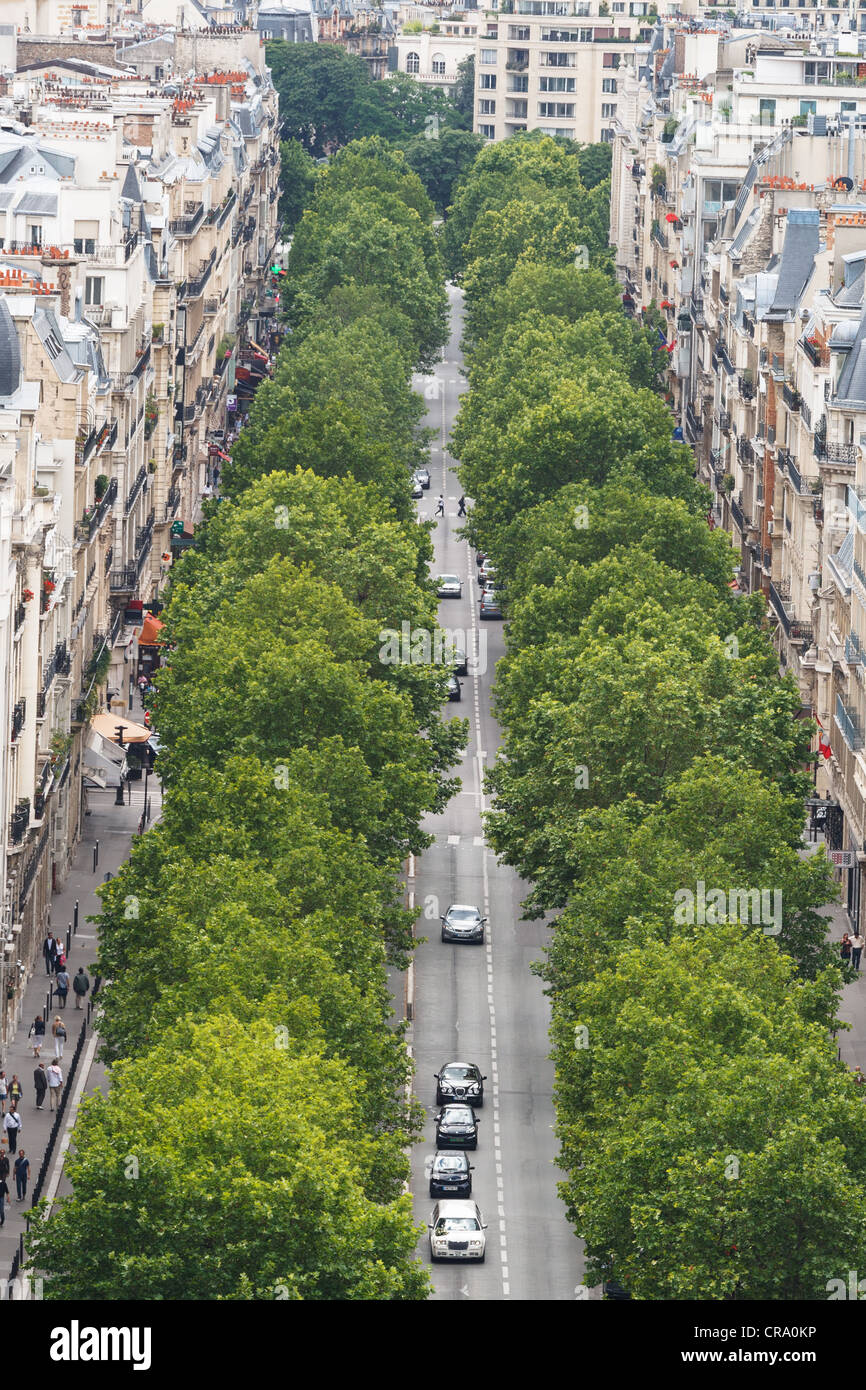 View of a tree-lined street in Pars, France Stock Photo - Alamy