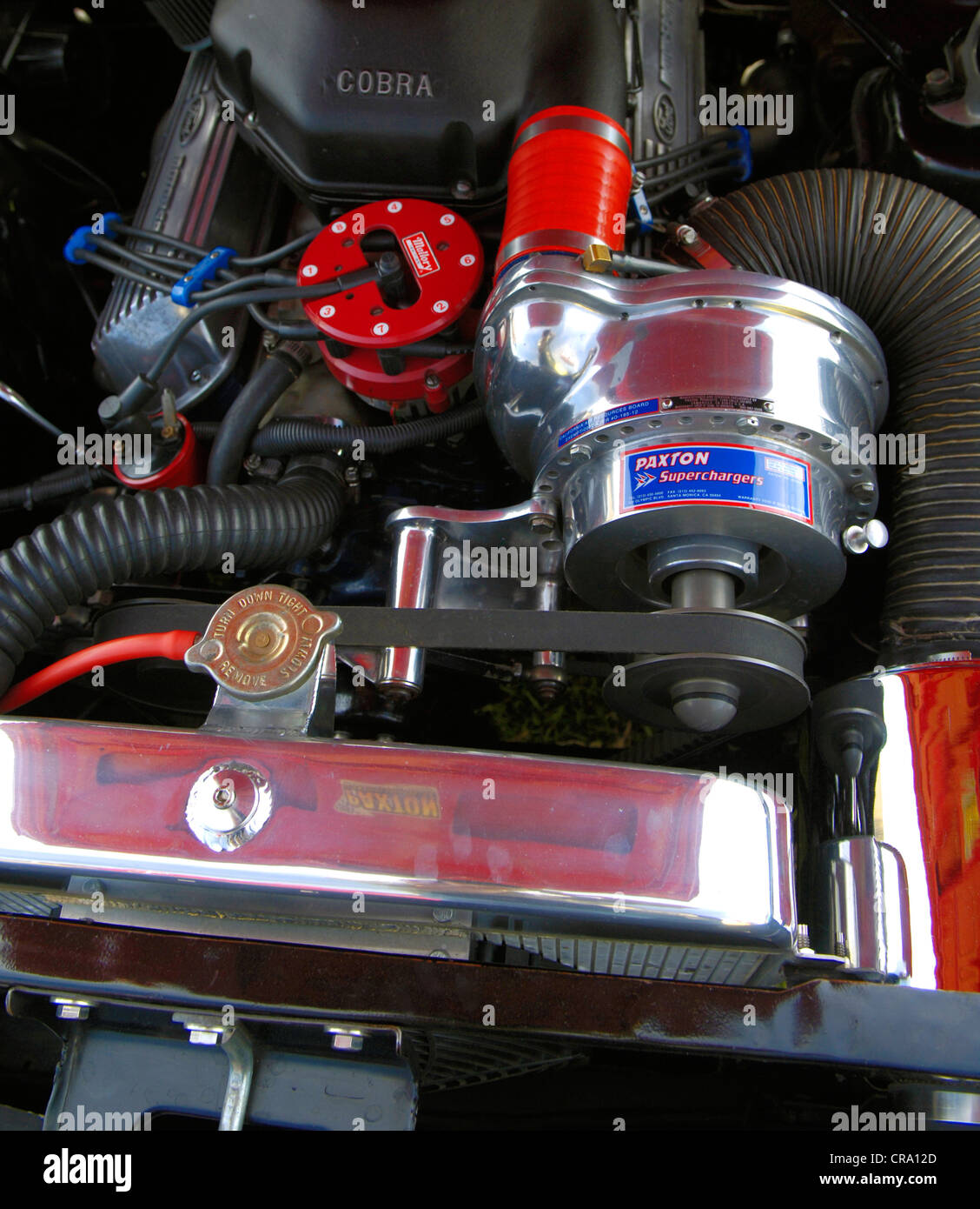 AC Cobra Engine fitted with chrome Paxton supercharger Stock Photo - Alamy