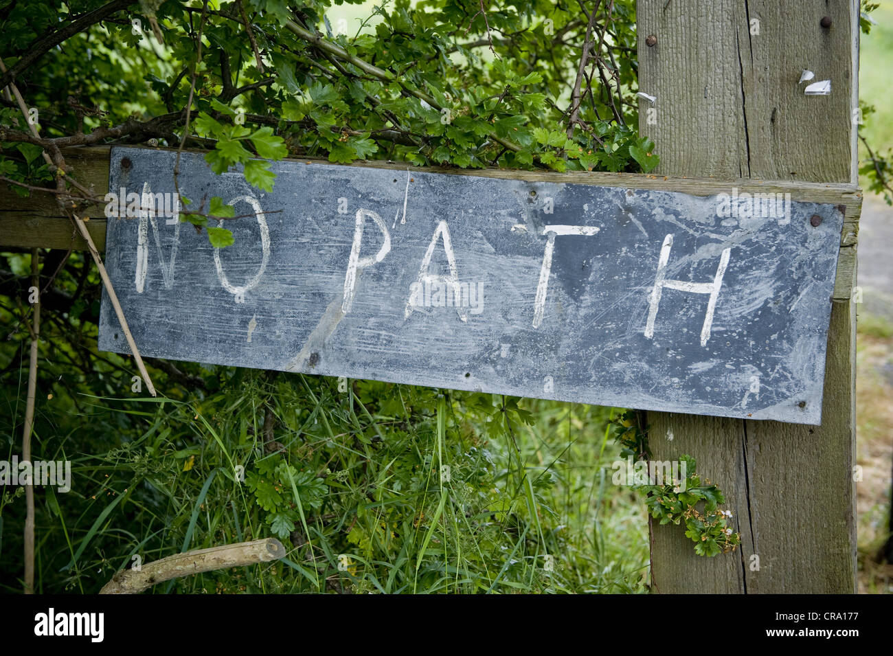 A 'No Path' wooden sign Stock Photo - Alamy