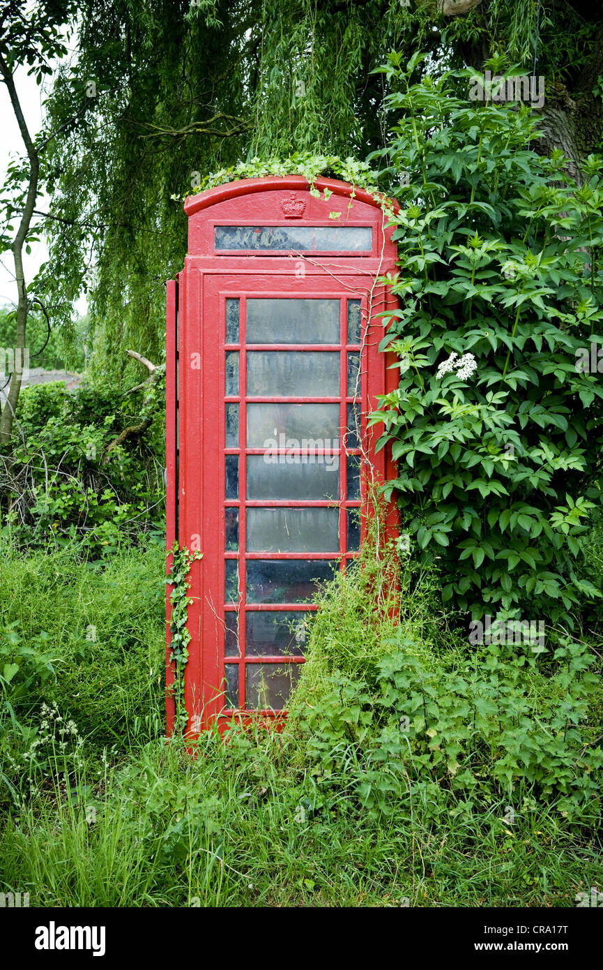 An overgrown red telephone box in Bitton, near Bristol Stock Photo - Alamy