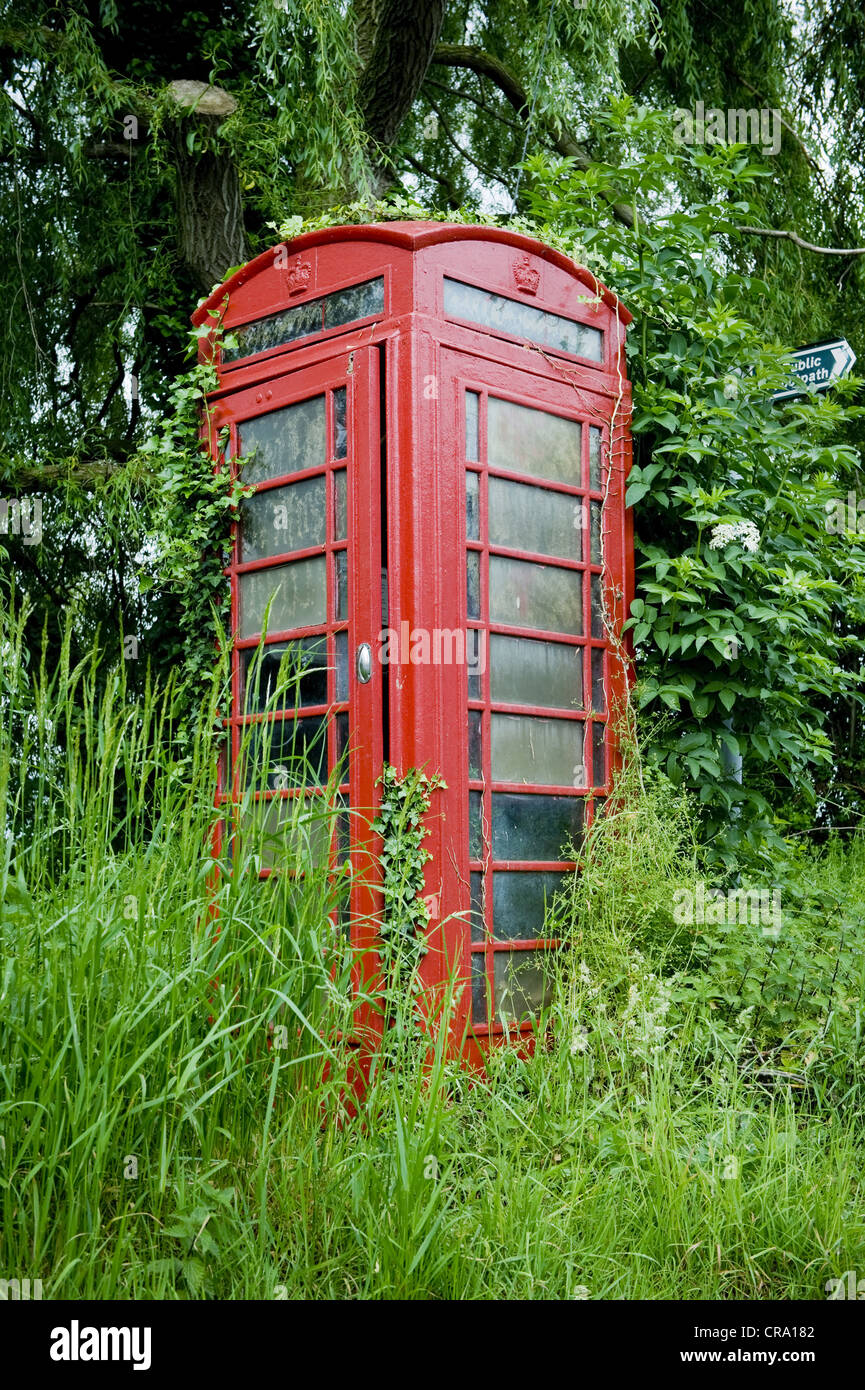 An overgrown red telephone box in Bitton, near Bristol Stock Photo - Alamy