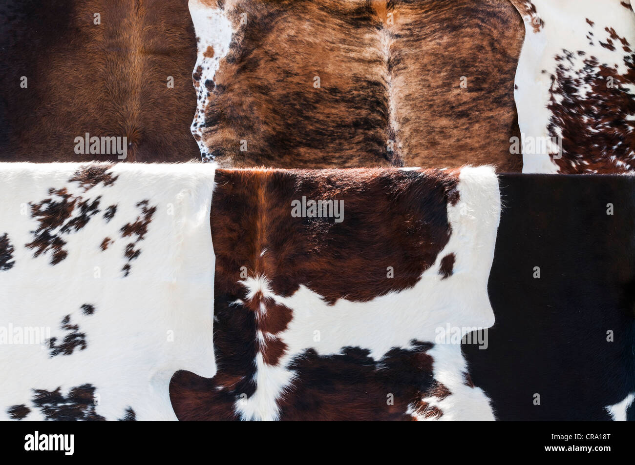 Detail of six cow hides with different patterns Stock Photo - Alamy