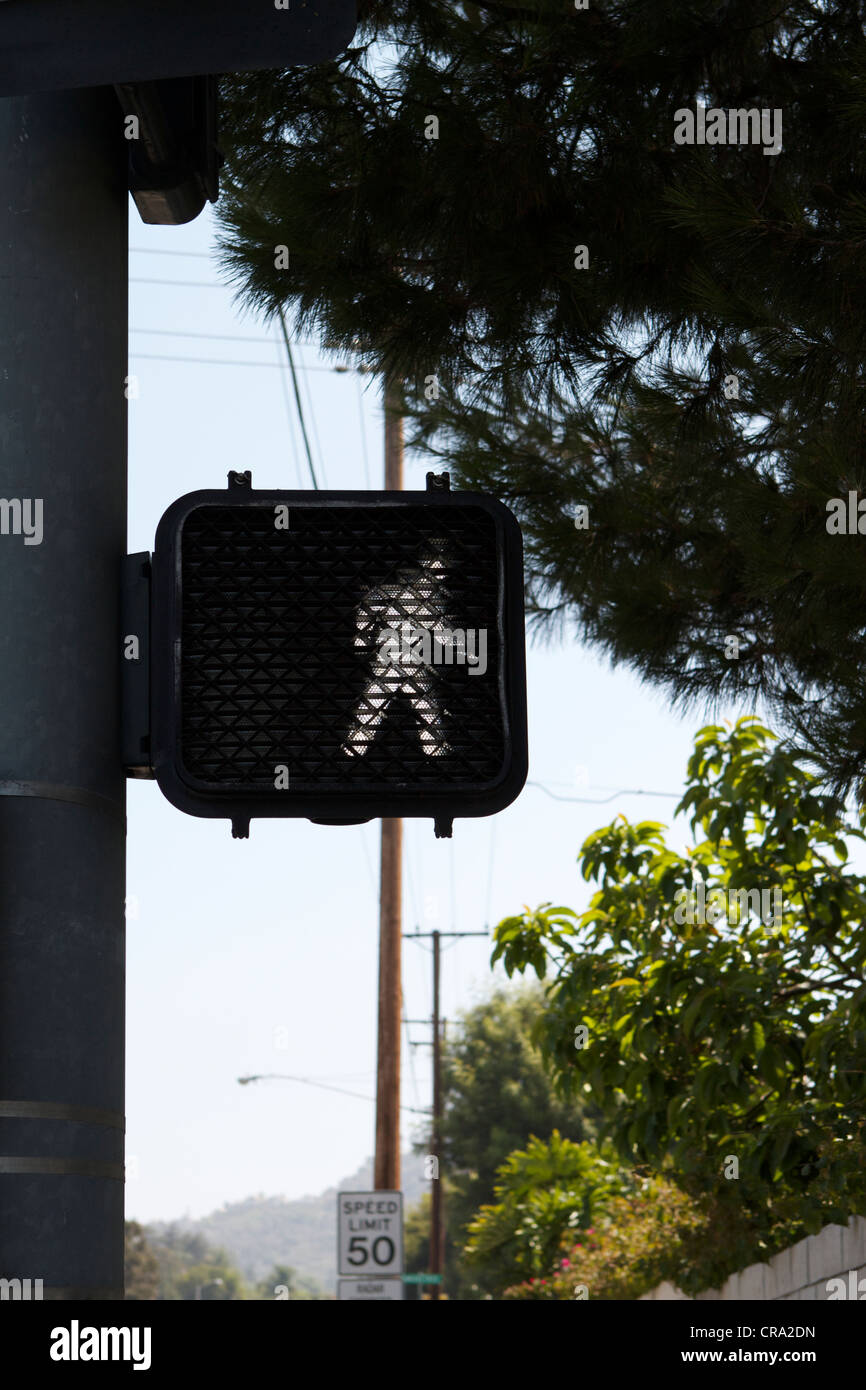 American pedestrian crosswalk sign at traffic light Stock Photo - Alamy