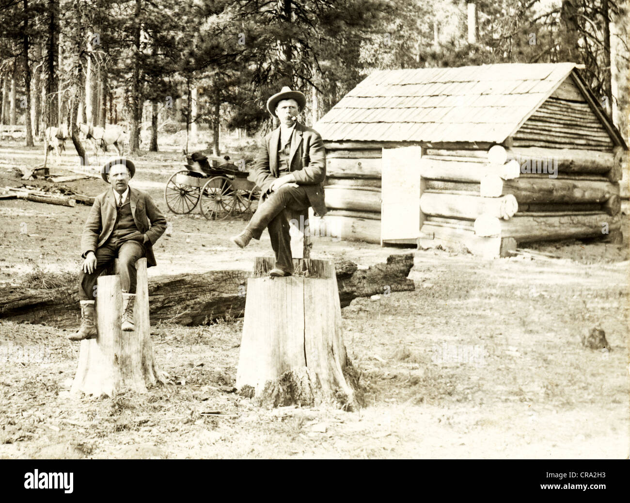 Black man sitting on log hi-res stock photography and images - Alamy