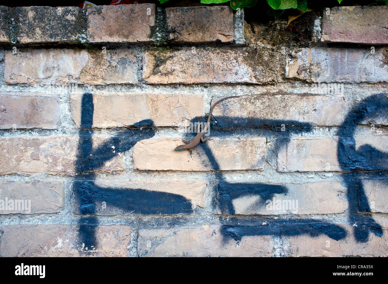 Graffiti covered brick wall hi-res stock photography and images - Alamy