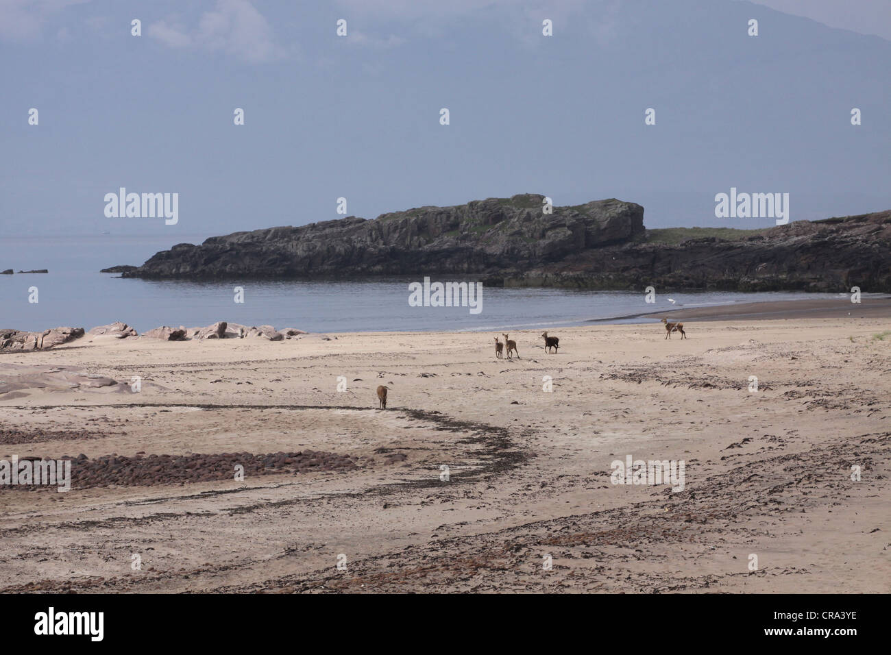 Kilmory beach scotland hi-res stock photography and images - Alamy