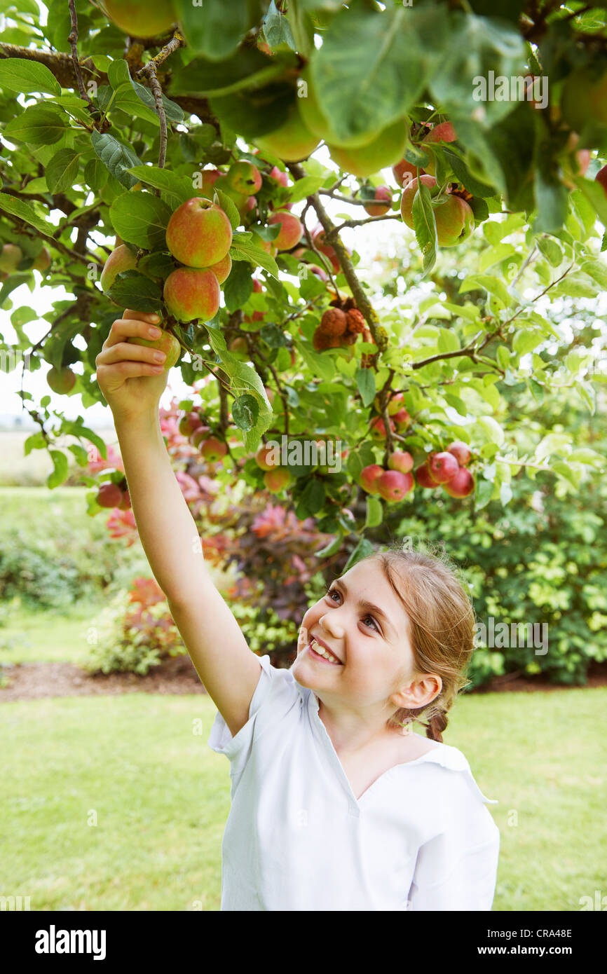 Girl picking fruit from tree in meadow Stock Photo - Alamy