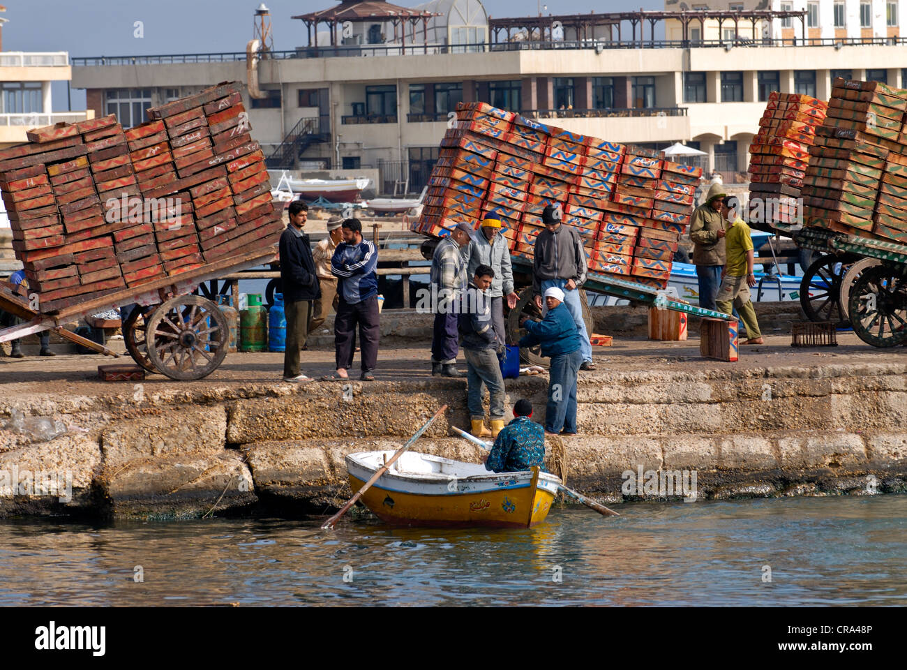 Men loading goods in the port of Alexandria, Egypt, Africa Stock Photo ...