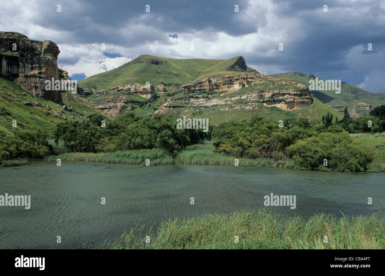 Golden gate nature reserve hi-res stock photography and images - Alamy