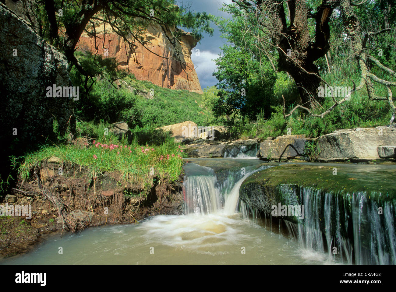 Golden Gate National Park scene, mountain stream, Free State, South ...