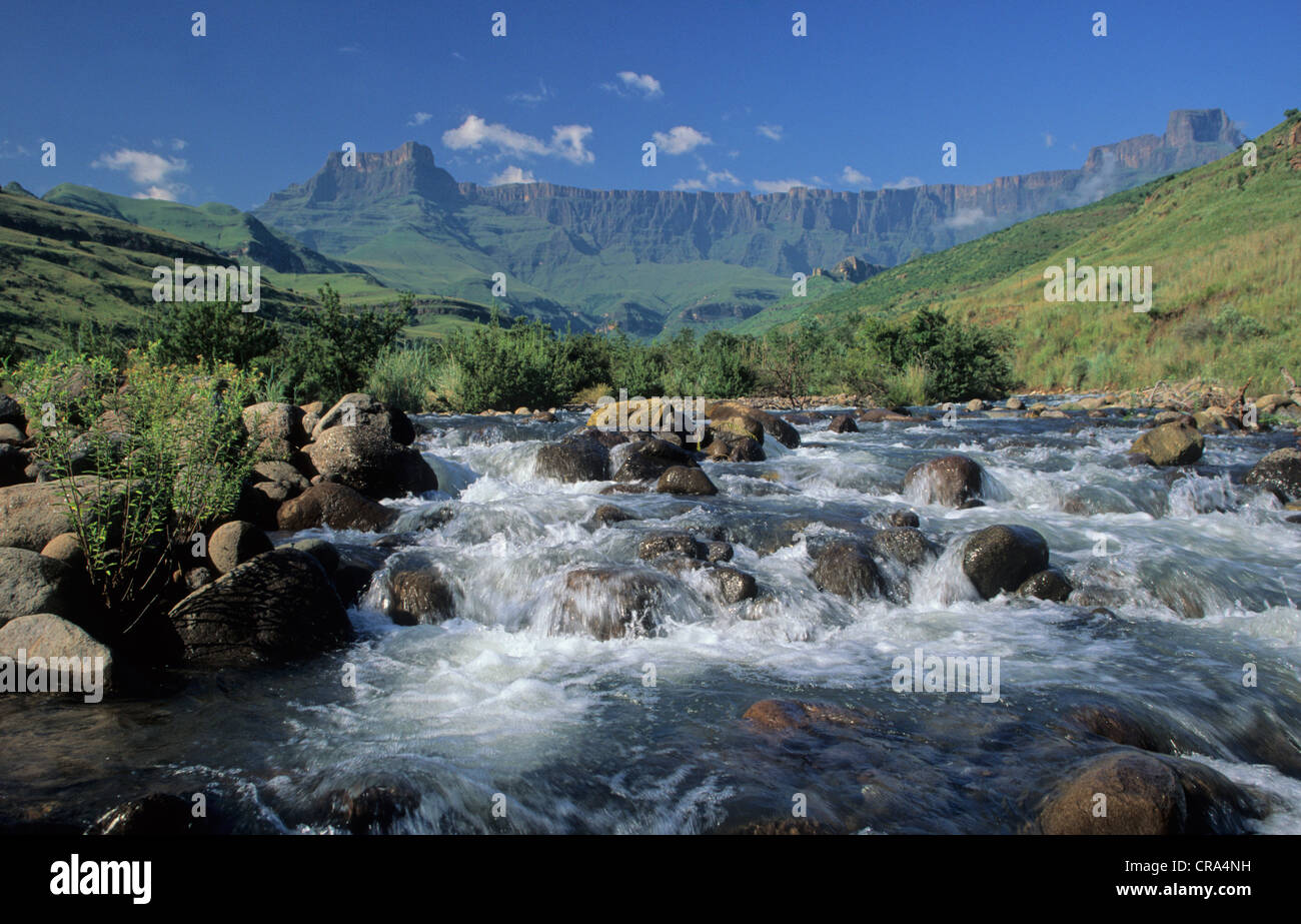 The Amphitheatre and Tugela River, Royal Natal National Park, KwaZulu ...