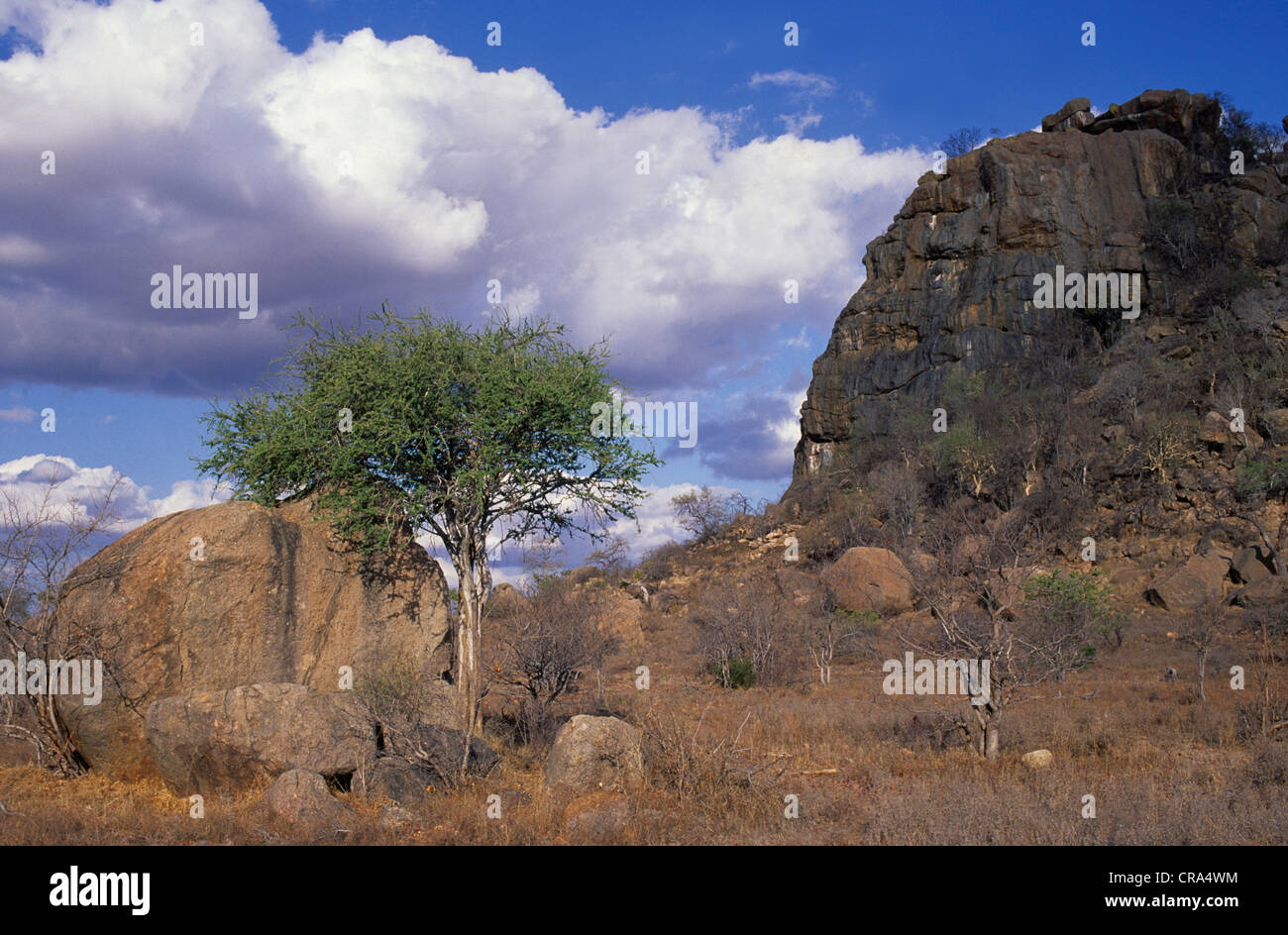 Kopje near Orpen, Kruger National Park, South Africa Stock Photo - Alamy