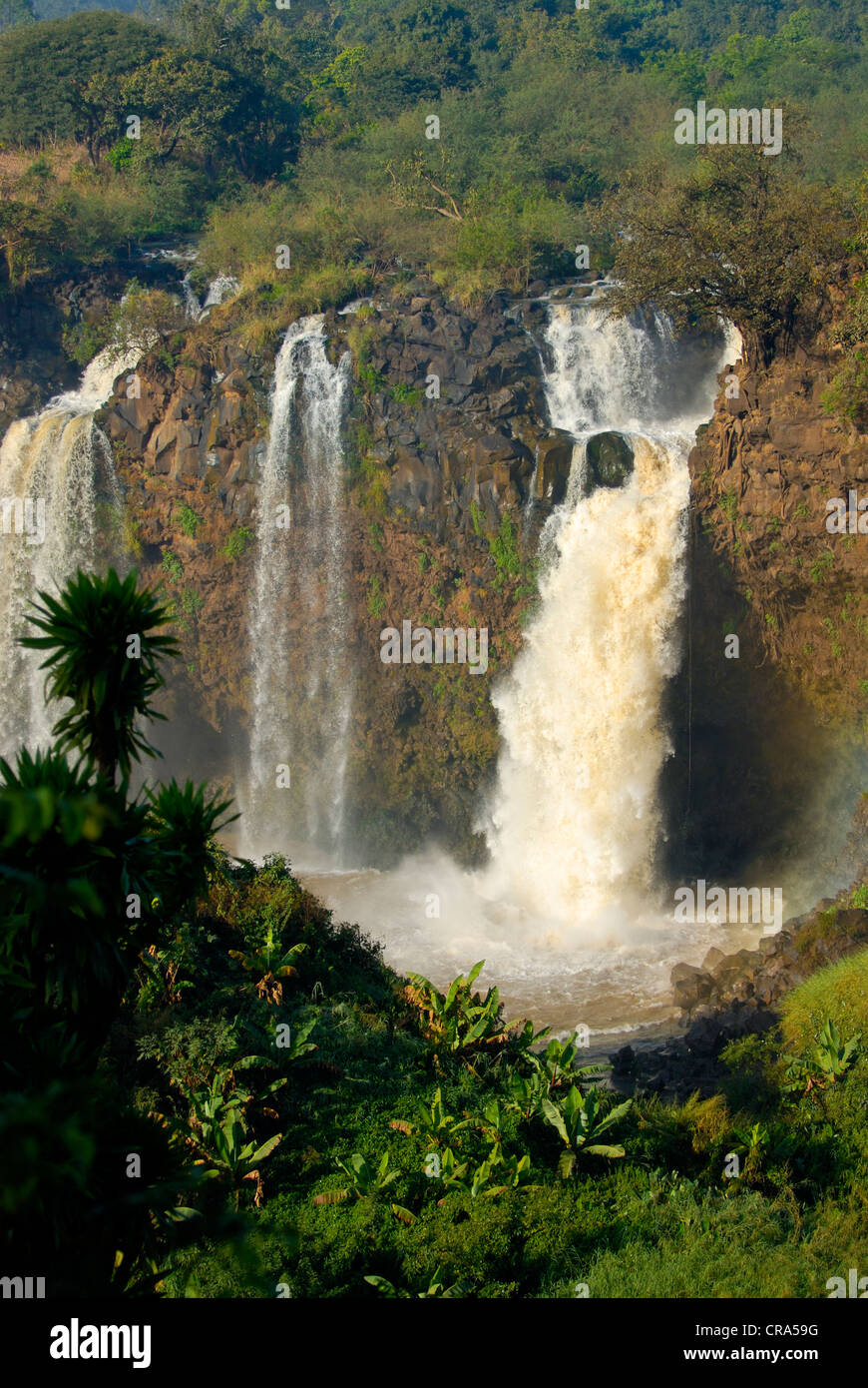 Nile cataracts hi-res stock photography and images - Alamy