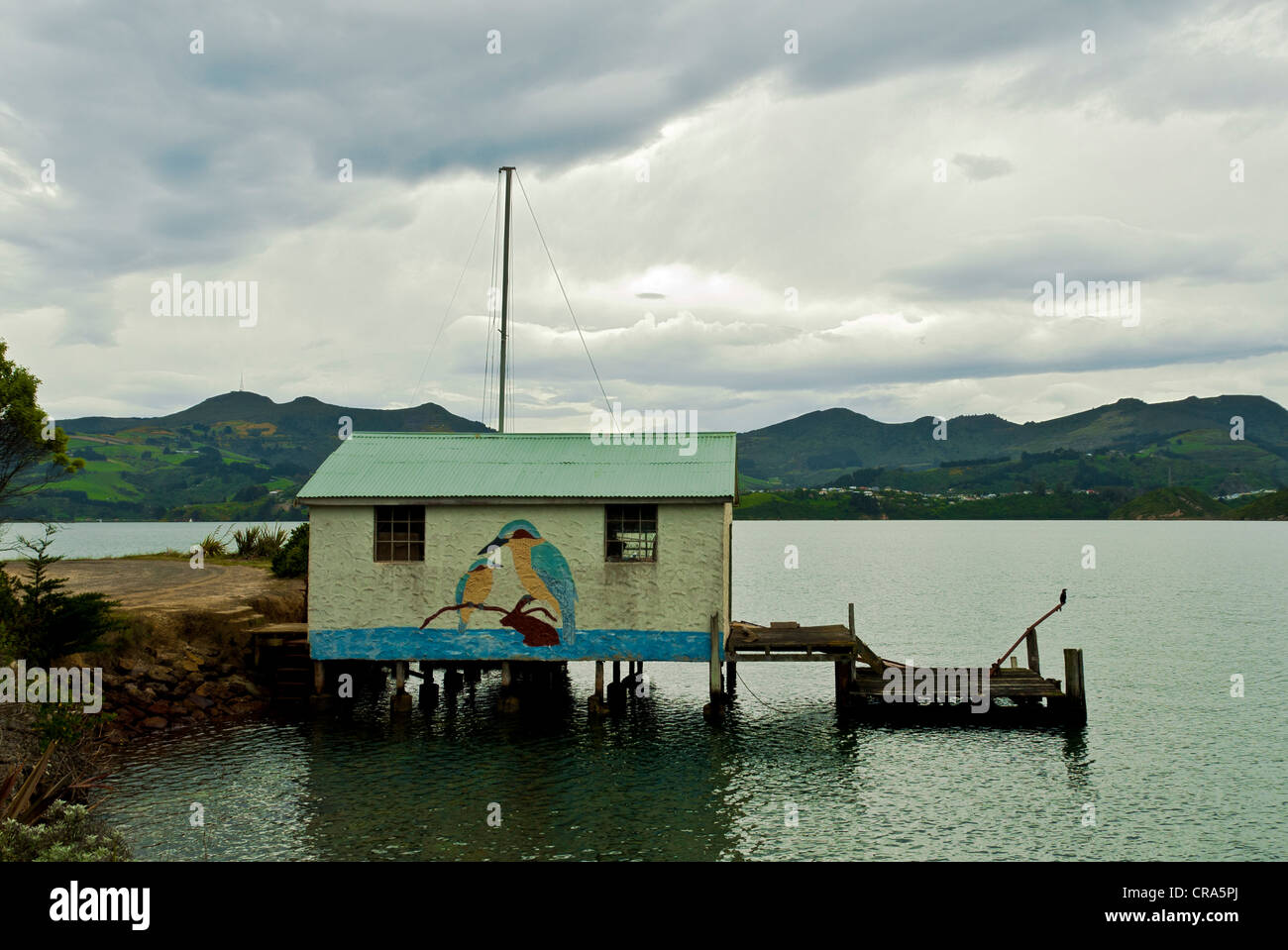 New Zealand Otago Peninsula South Island boat hut and jetty dock with ...